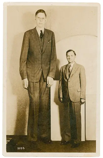 Robert Wadlow 8’11” (2.72 m)